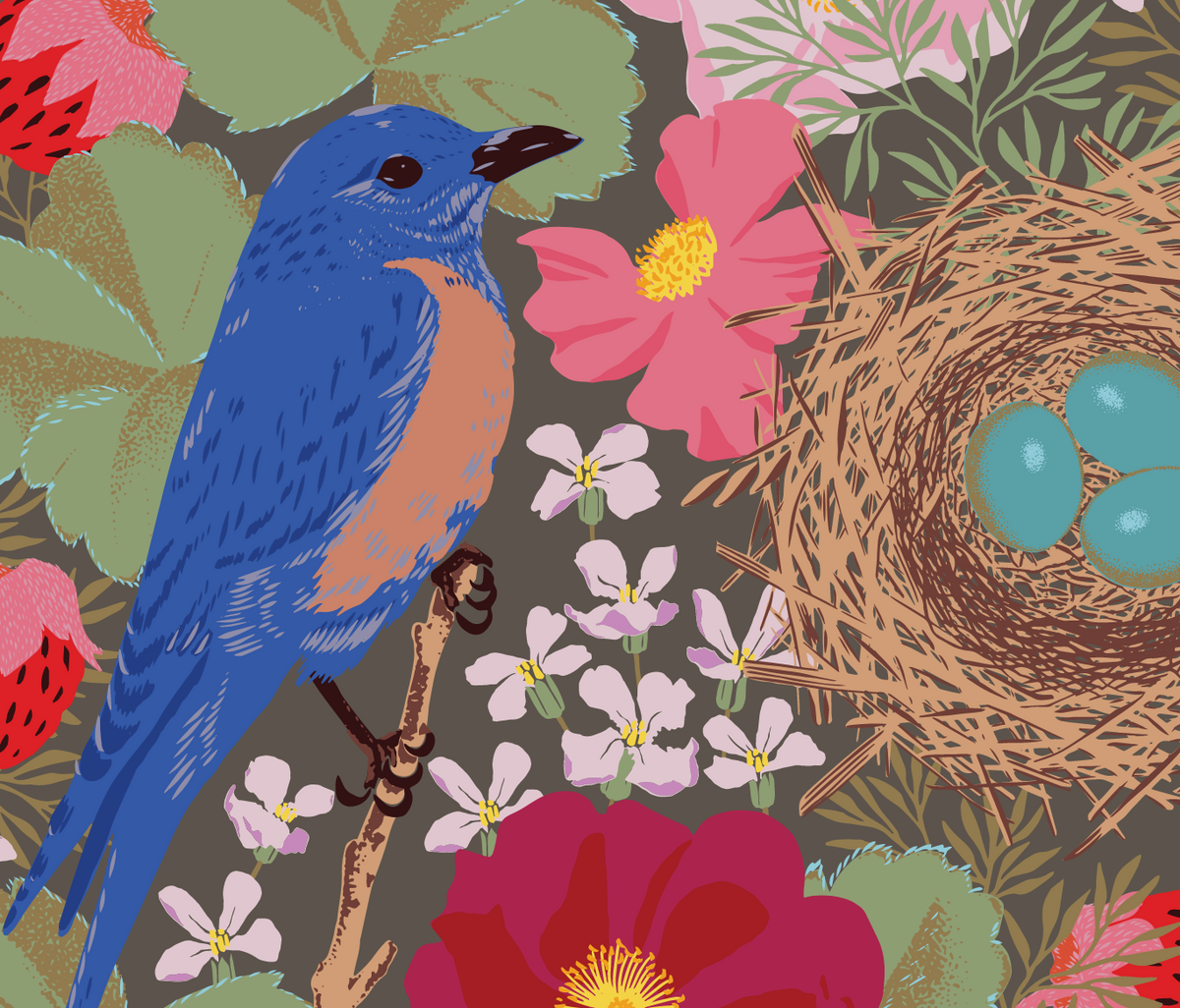 Anne Amie Vineyards | Custom Wine Label Design | Kate Blairstone